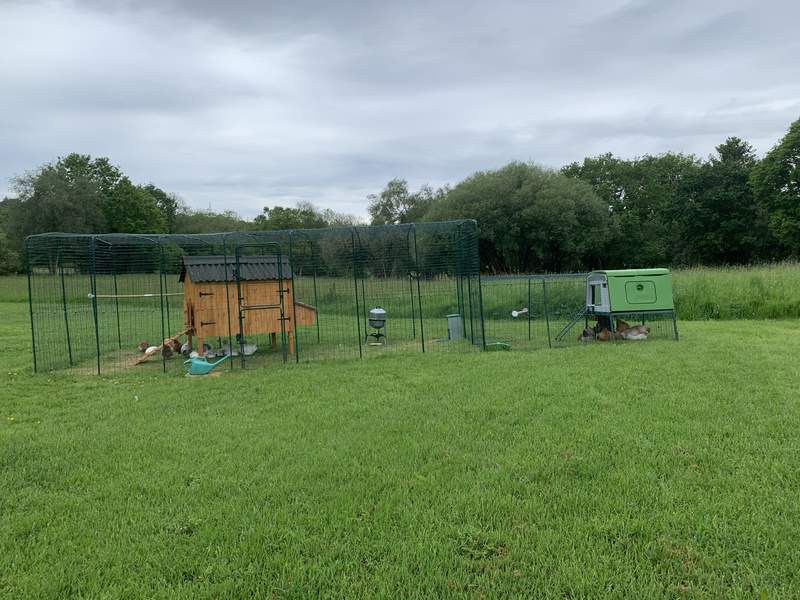 Walk in Chicken Runs | Large Chicken Pen | Omlet | Chicken Coops ...