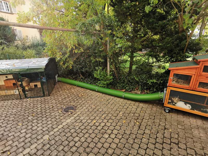 Zippi Rabbit Tunnel System | Omlet | Rabbit Hutches, Rabbit Tunnel ...