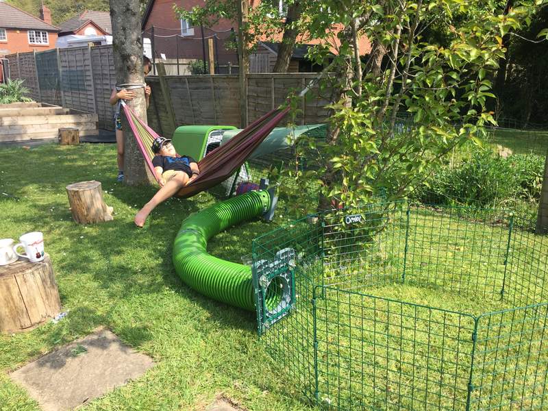 Zippi Rabbit Tunnel System | Omlet | Rabbit Hutches, Rabbit Tunnel ...