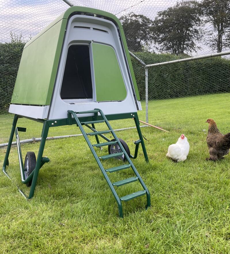 Raised Chicken Coop | Eglu Go UP | Omlet
