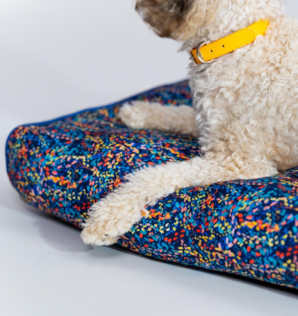 Cushion Dog Bed | Omlet