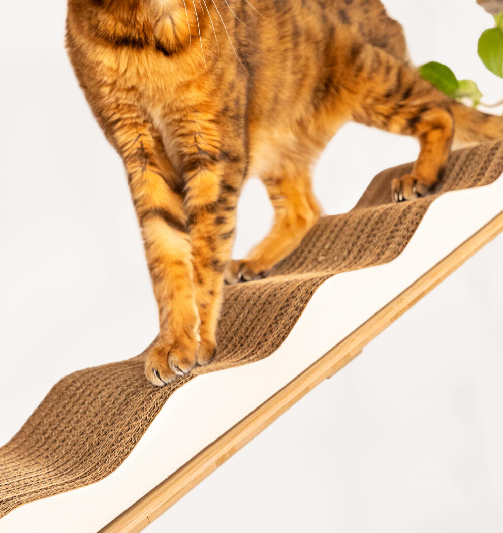 Freestyle Floor to Ceiling Cat Tree - Customisable Cat Tower | Omlet