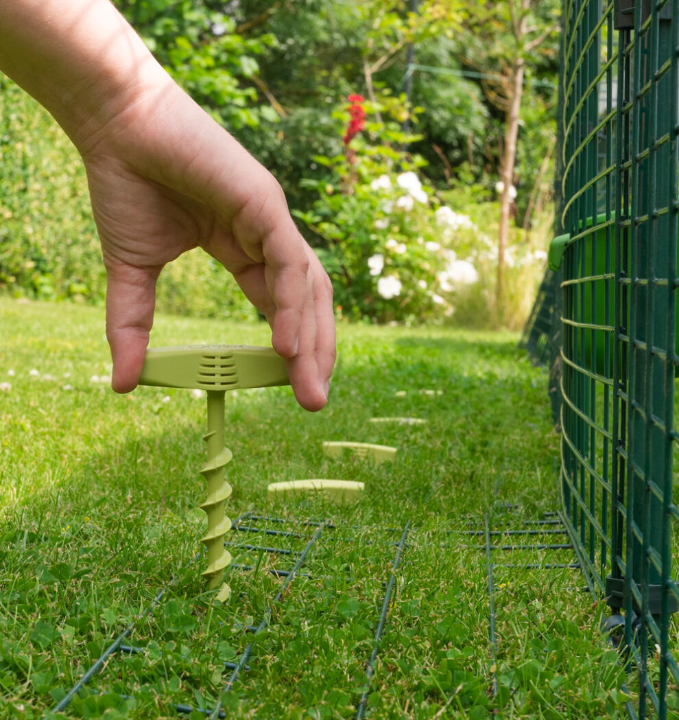 Large Walk in Chicken Runs | Omlet