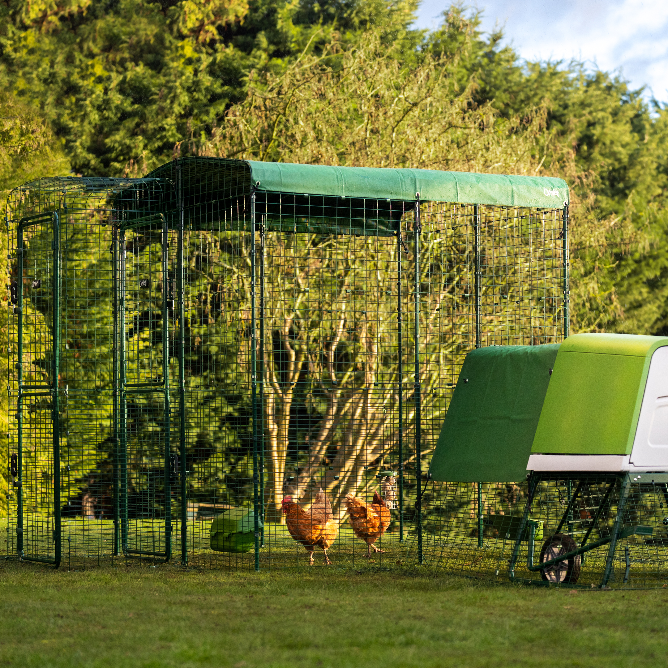 Heavy Duty Chicken Run Cover - 2x3 | Omlet