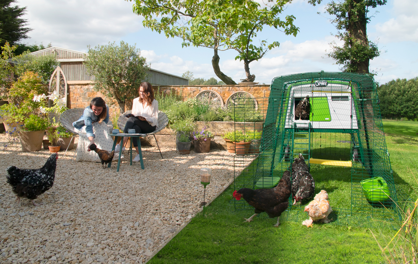 Large Eglu Cube Chicken Coop with Runs | Omlet