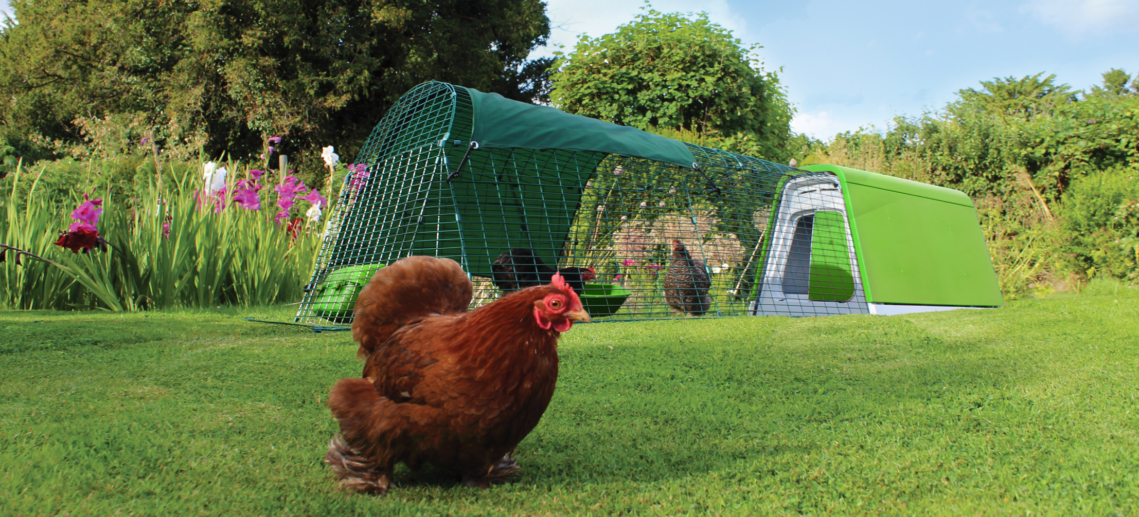 Eglu Go Chicken Coop | Plastic Chicken House for 2-4 Birds | Omlet