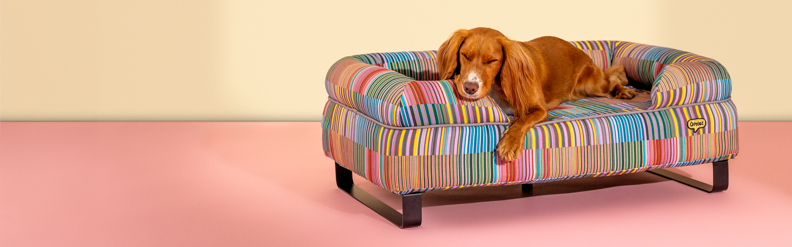 Patterned Dog Beds | Omlet