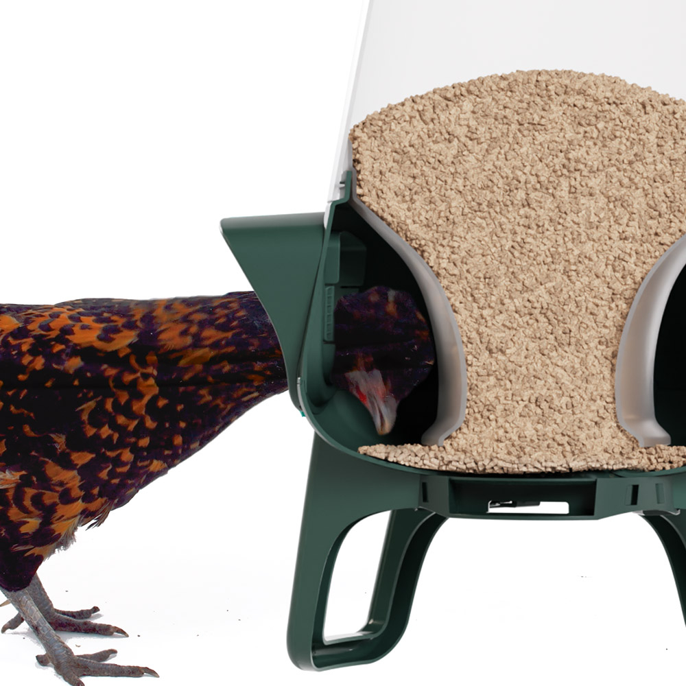 Omlet No Waste Chicken Feeder | Omlet