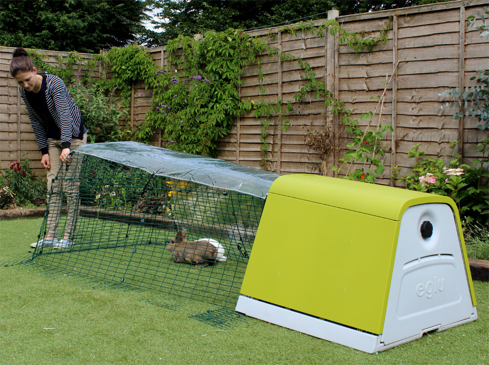 Clear Cover for Eglu Go - Full Length | Omlet