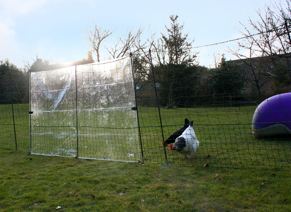 Clear Wind Break Kit for Chicken Fencing | Omlet