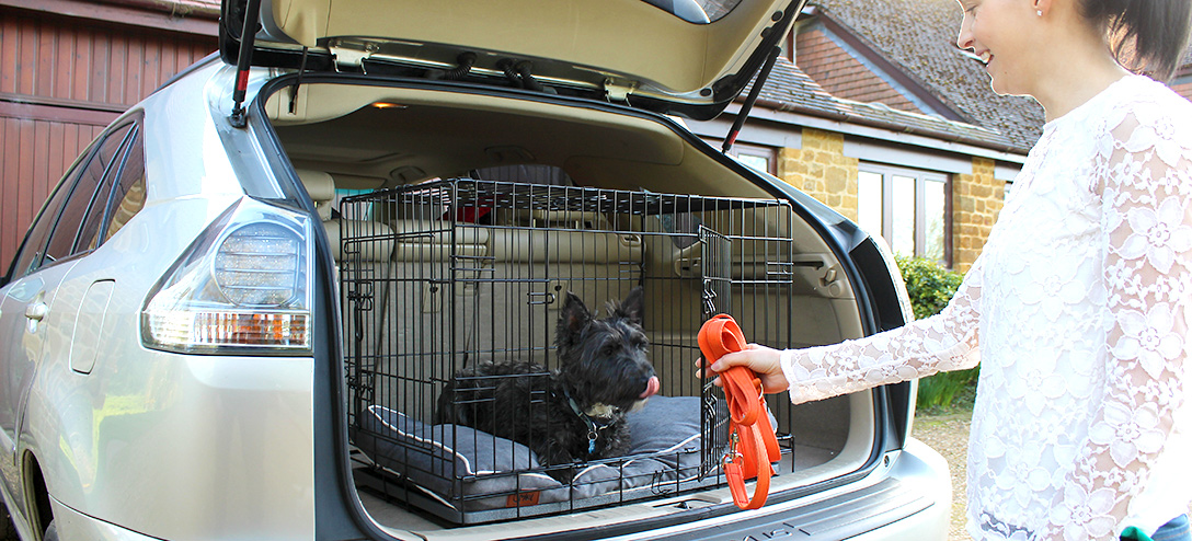 Small dog cage for car store