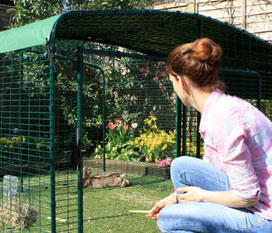 Outdoor Rabbit Run | Rabbit Products | Shop | Omlet UK