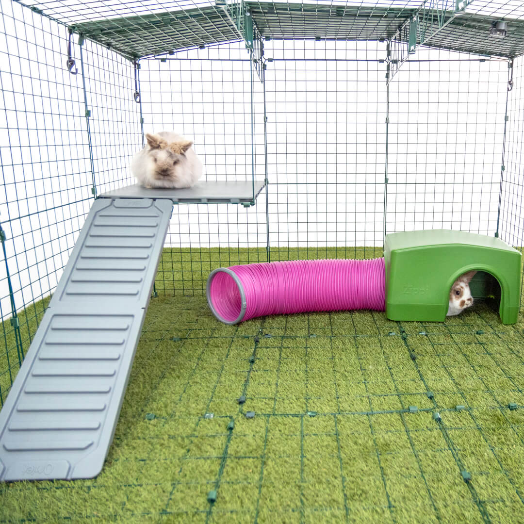 Zippi Rabbit Corner Platform | Omlet