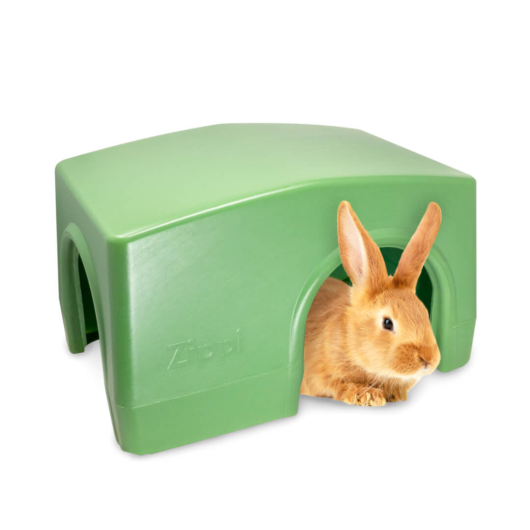 Rabbit Run Accessories | Omlet