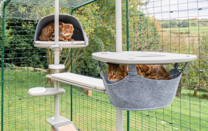 Freestyle Outdoor Cat Tree - Customisable Cat Climbing Frame | Omlet