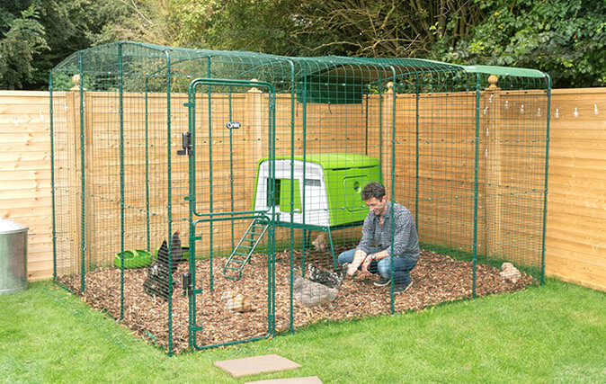 Large Eglu Cube Chicken Coops and Runs | Easy to Clean Safe Hen House ...