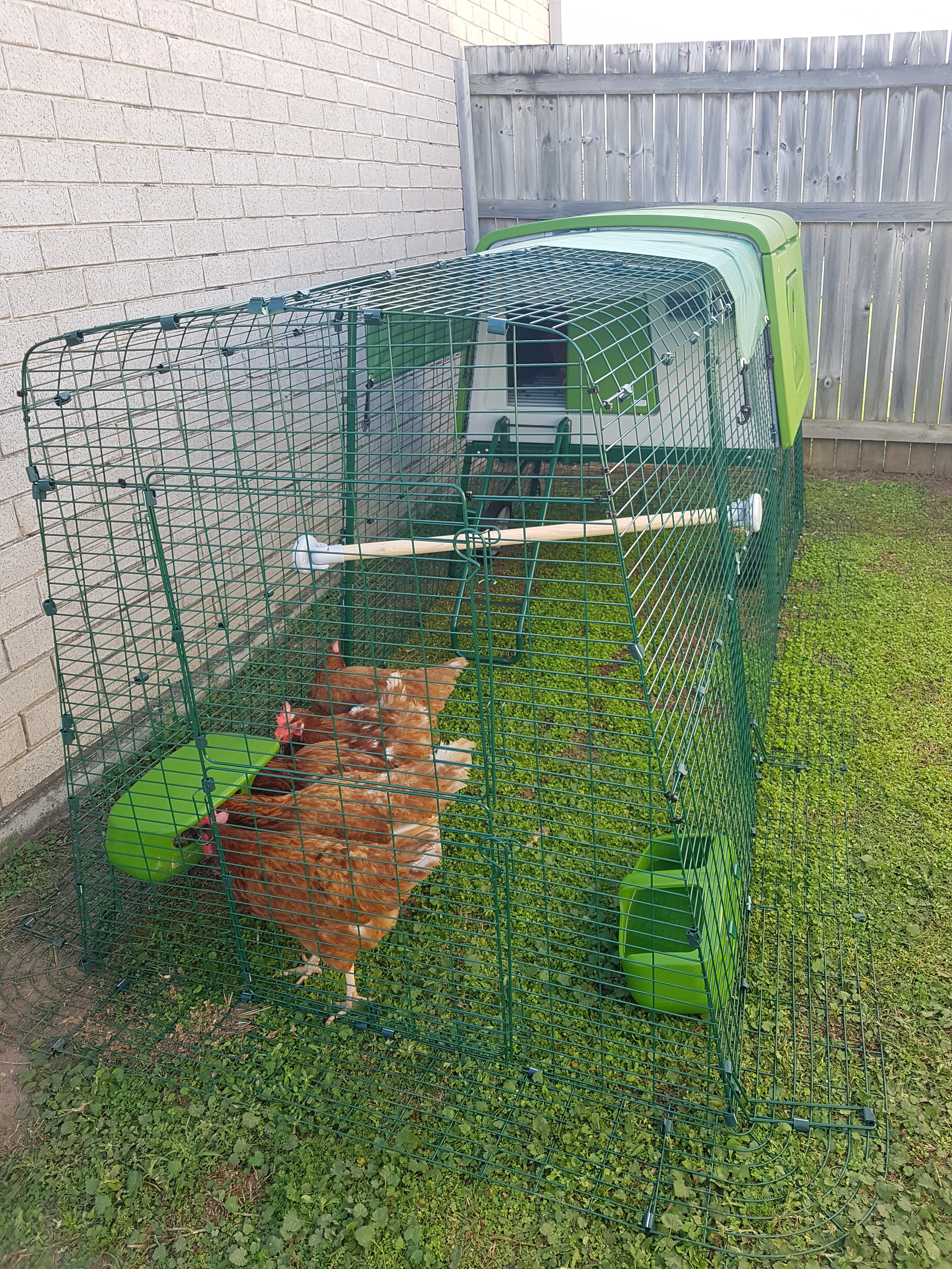 Eglu Chicken Coop - Easy to Clean - Fox Proof Hen House