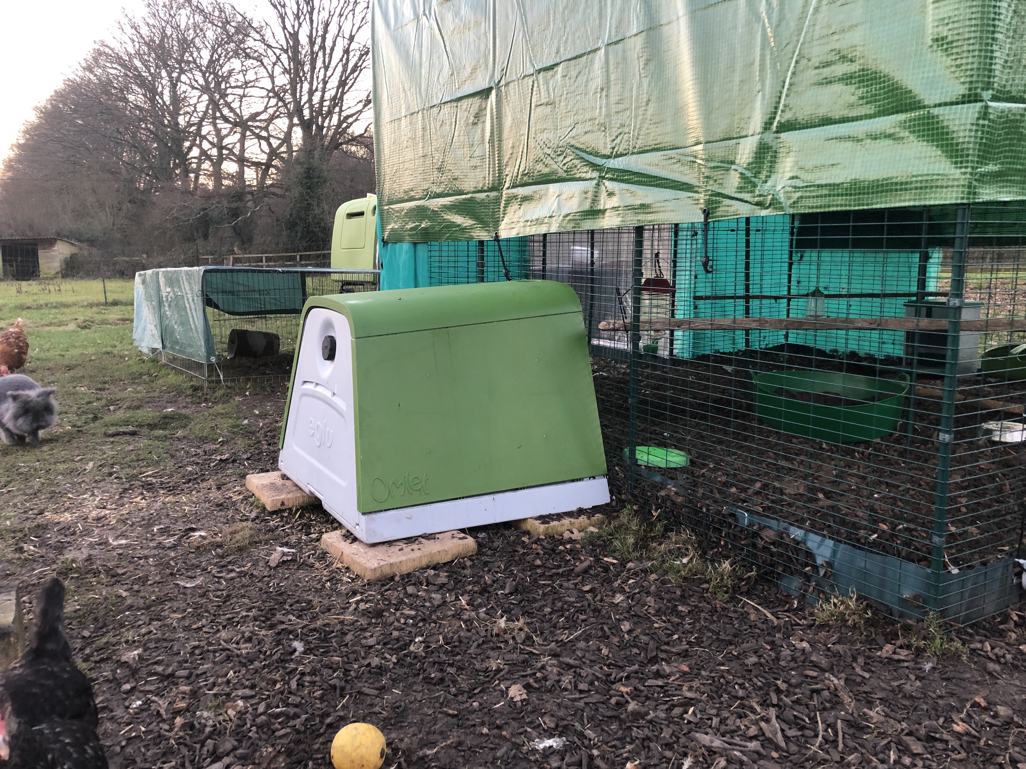 Eglu Go Chicken Coop | Plastic Chicken House for 2-4 Birds