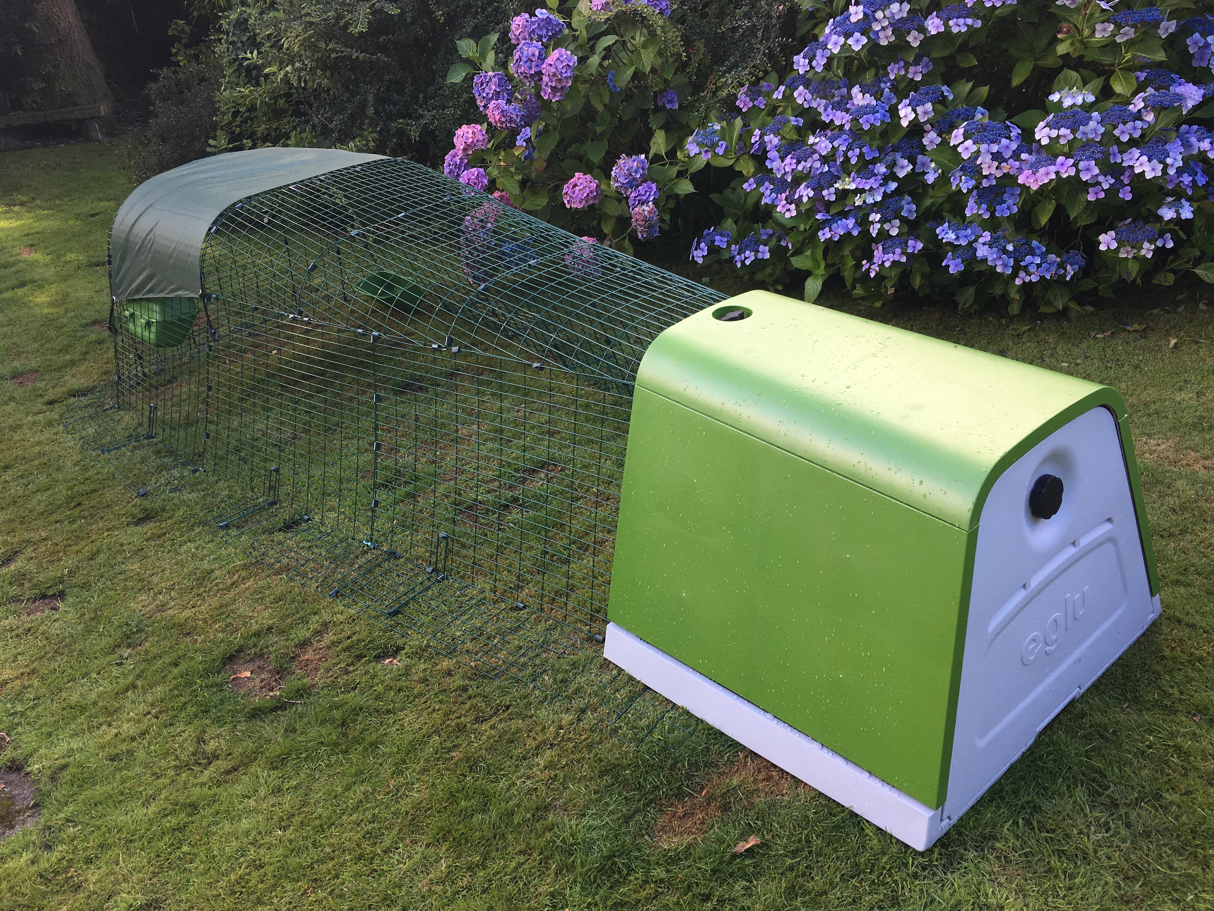 Gallery | Club | Omlet