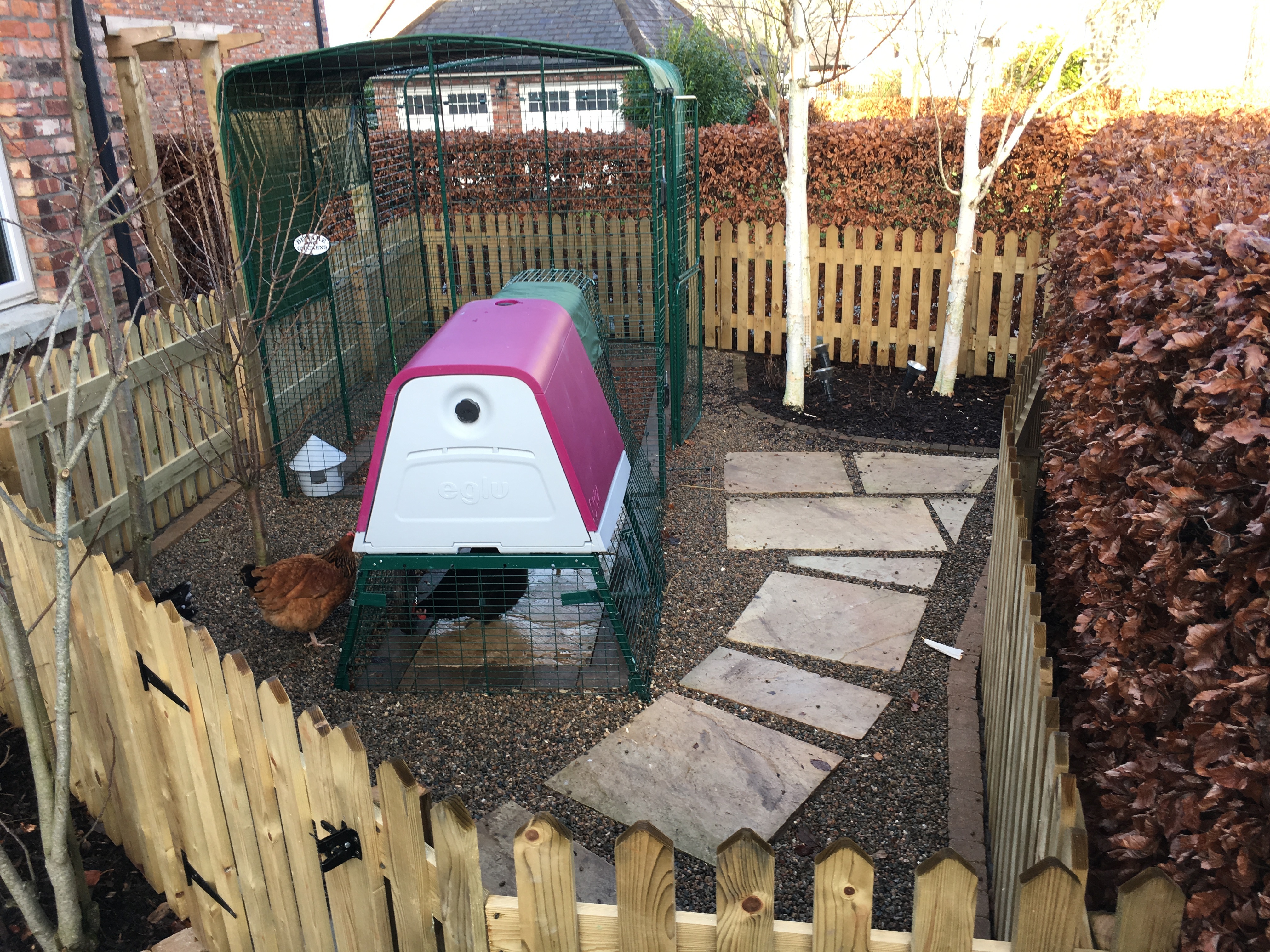 Gallery | Club | Omlet