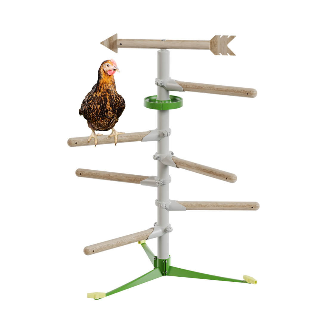 Freestanding Chicken Perch - Hen Adventure Kit | Omlet