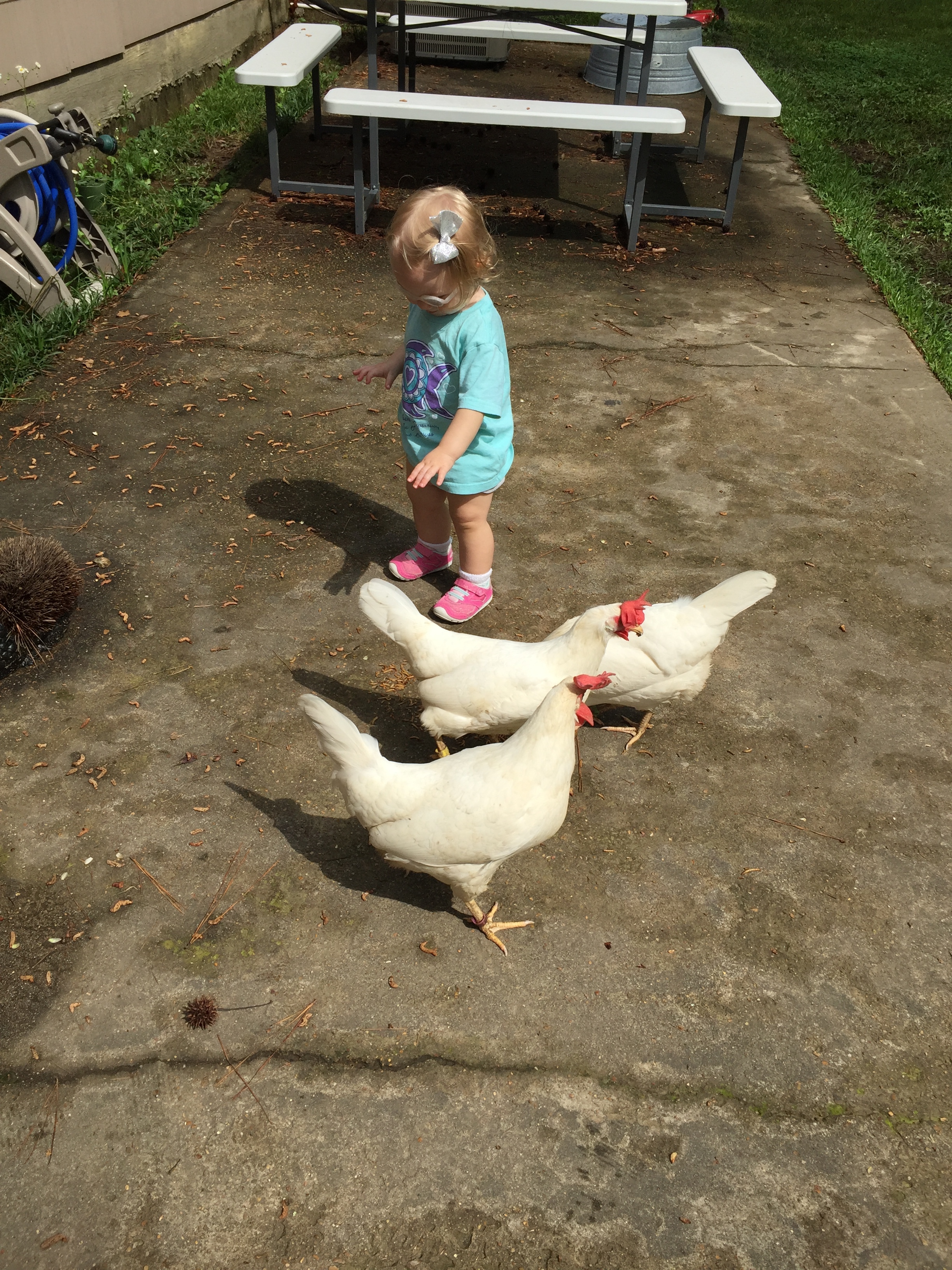 Gallery | Club | Omlet