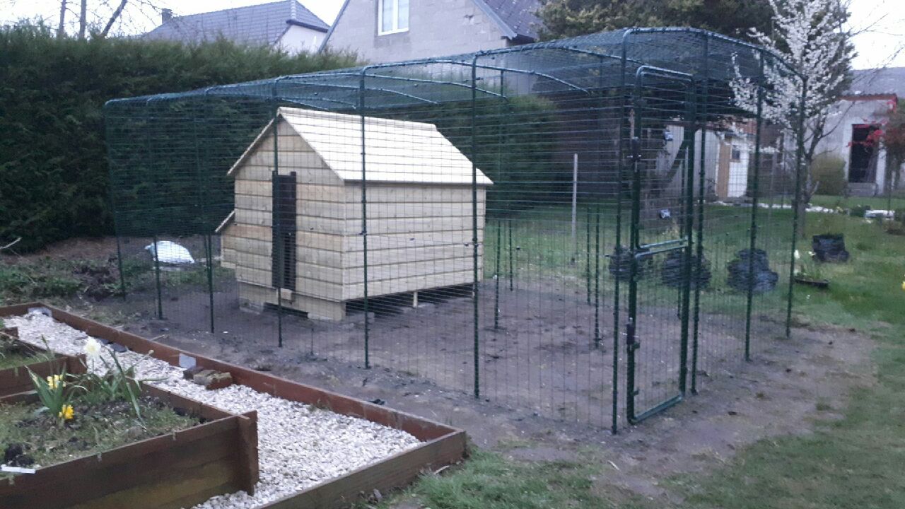 Walk in Chicken Run | Large Outdoor Chicken Enclosure