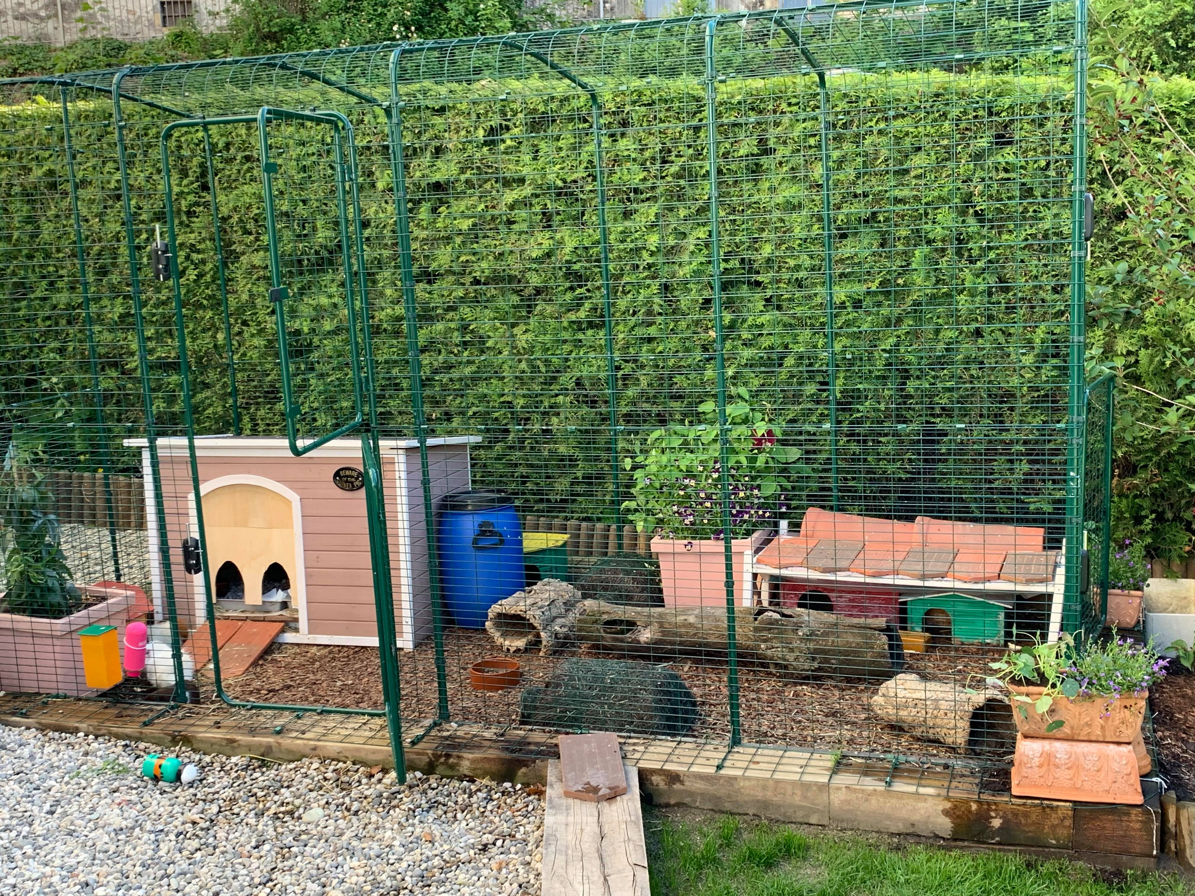 Outdoor Guinea Pig Run | Large Outdoor Guinea Pig Enclosure