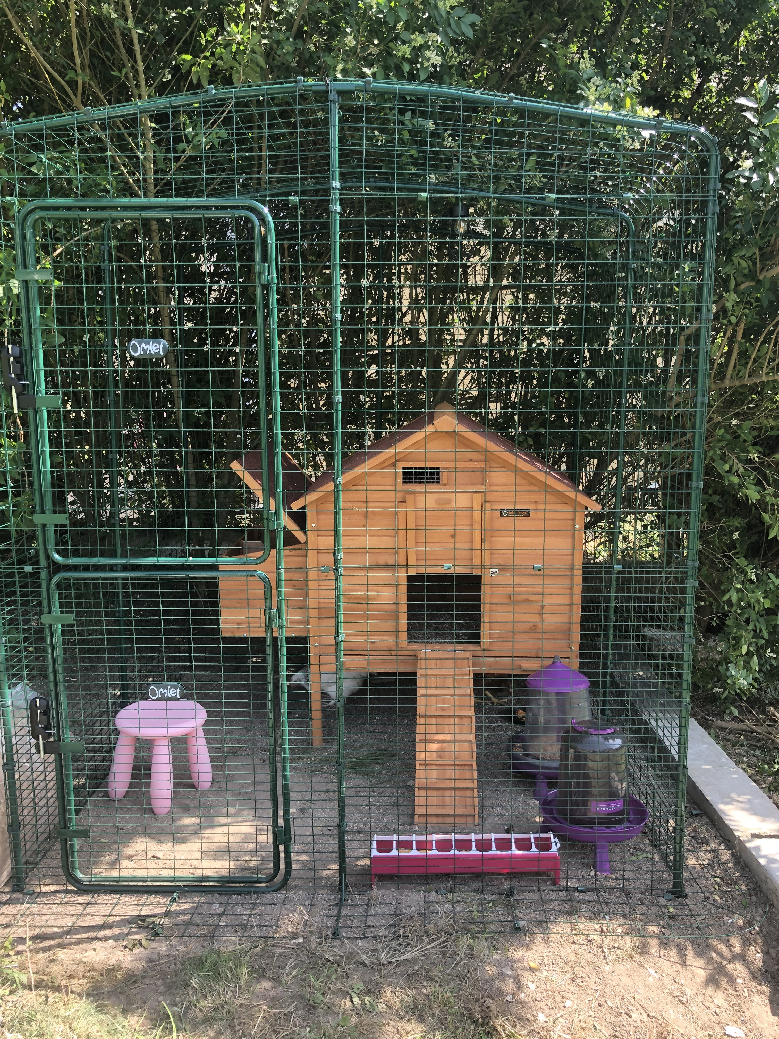 Walk in Chicken Run | Large Outdoor Chicken Enclosure