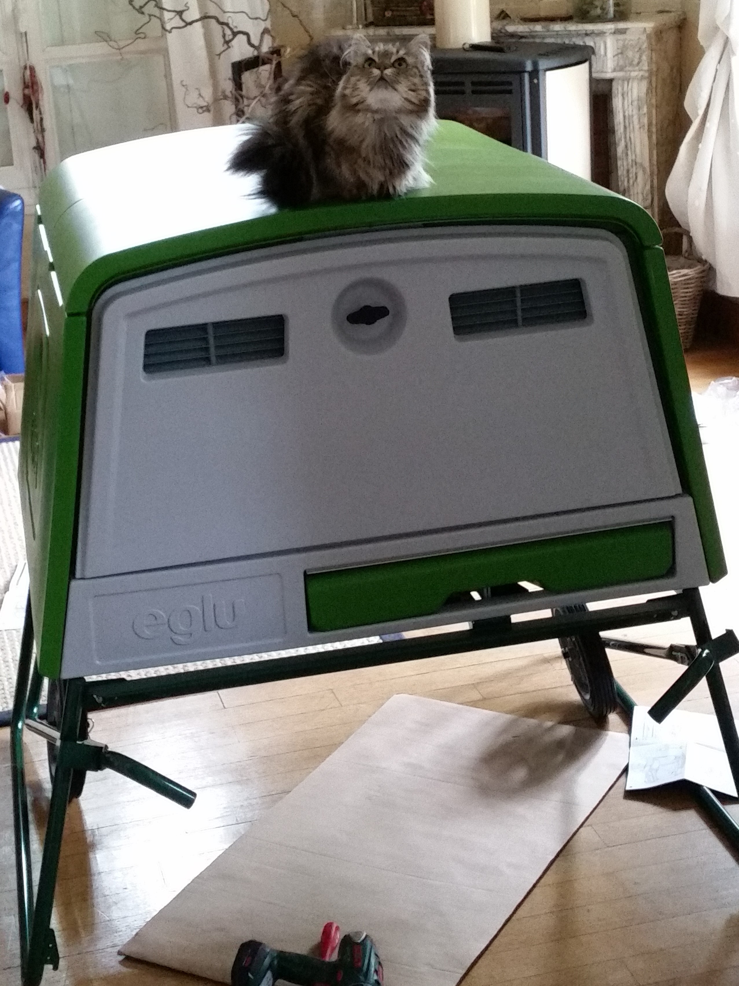 Gallery | Club | Omlet