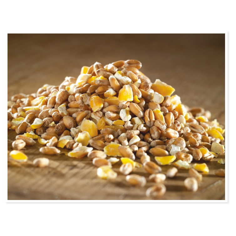 Marriage's Organic Mixed Corn - 20kg | Omlet