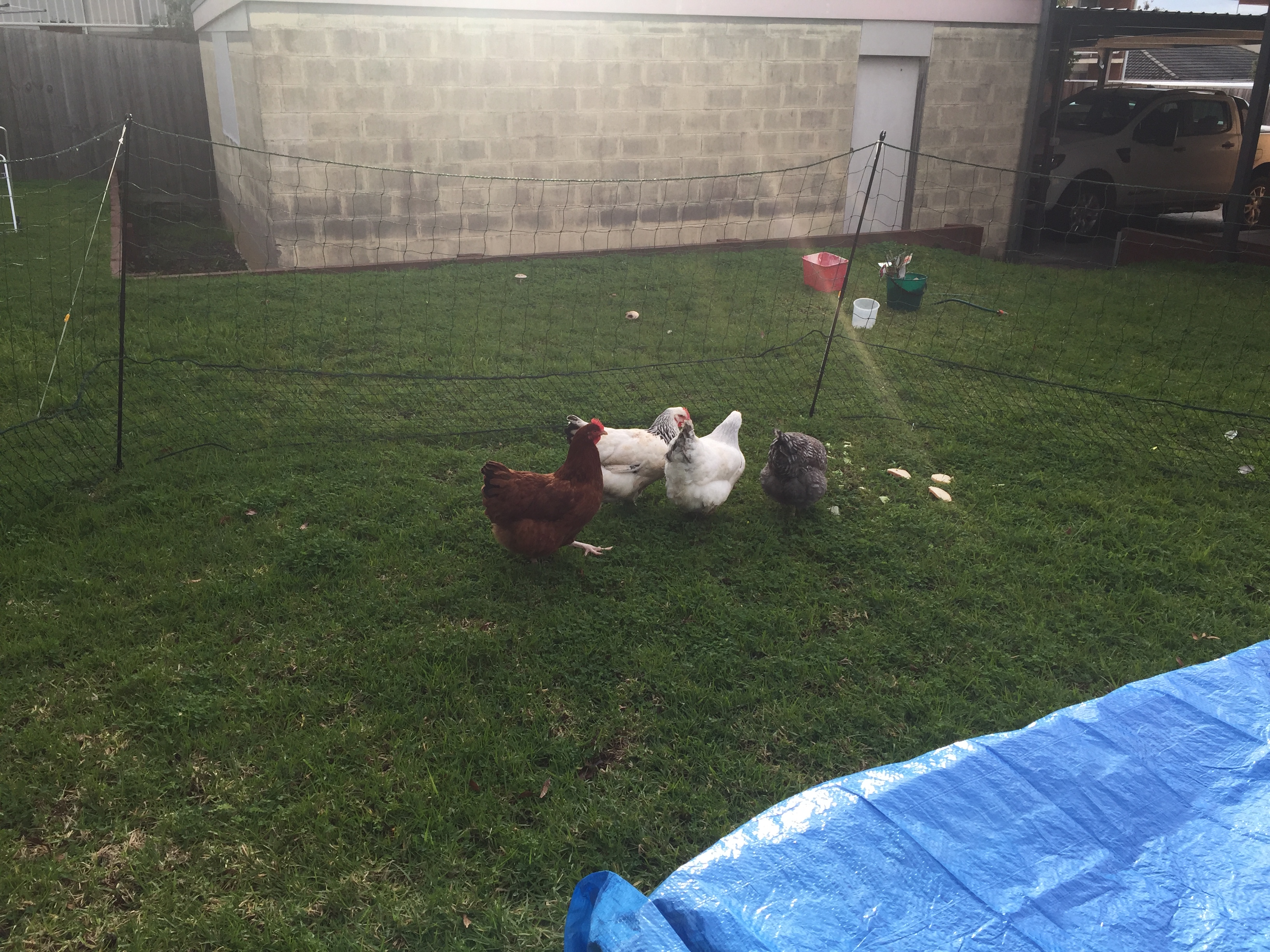 Gallery | Club | Omlet