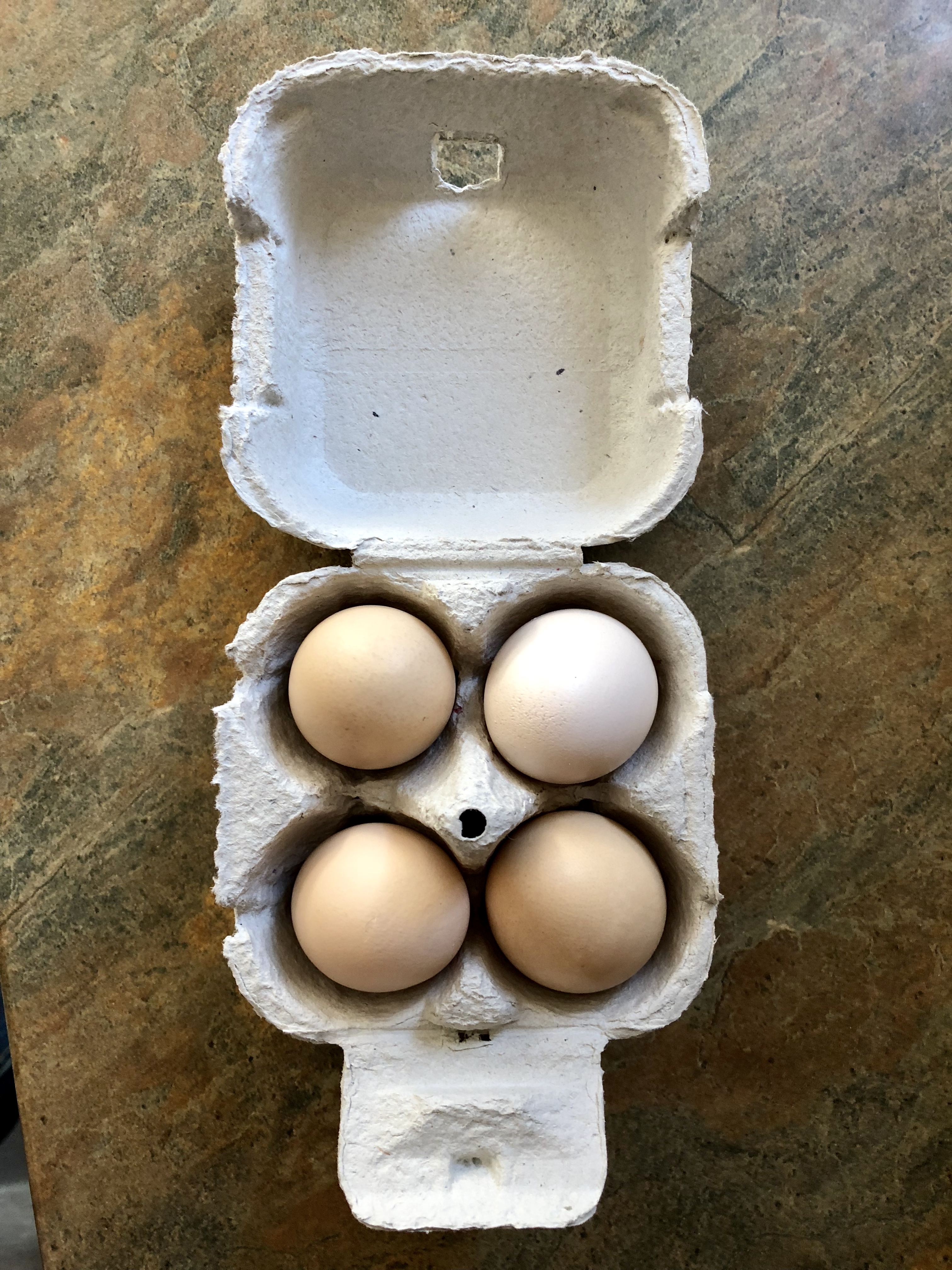 Gallery | Club | Omlet
