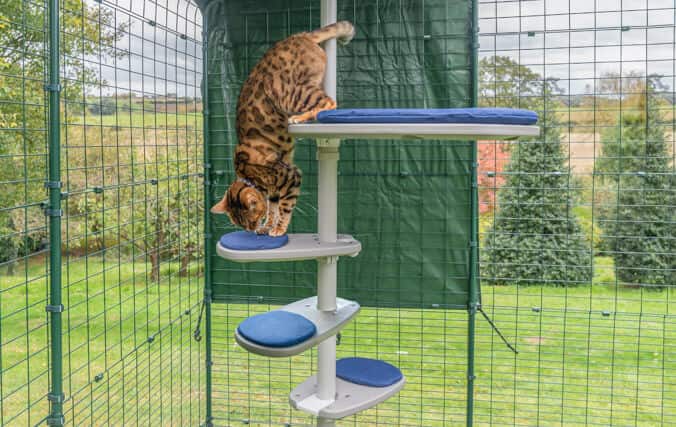 Freestyle Outdoor Cat Tree - Customisable Cat Climbing Frame | Omlet