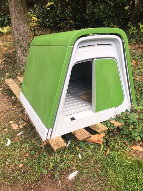 Gallery | Club | Omlet