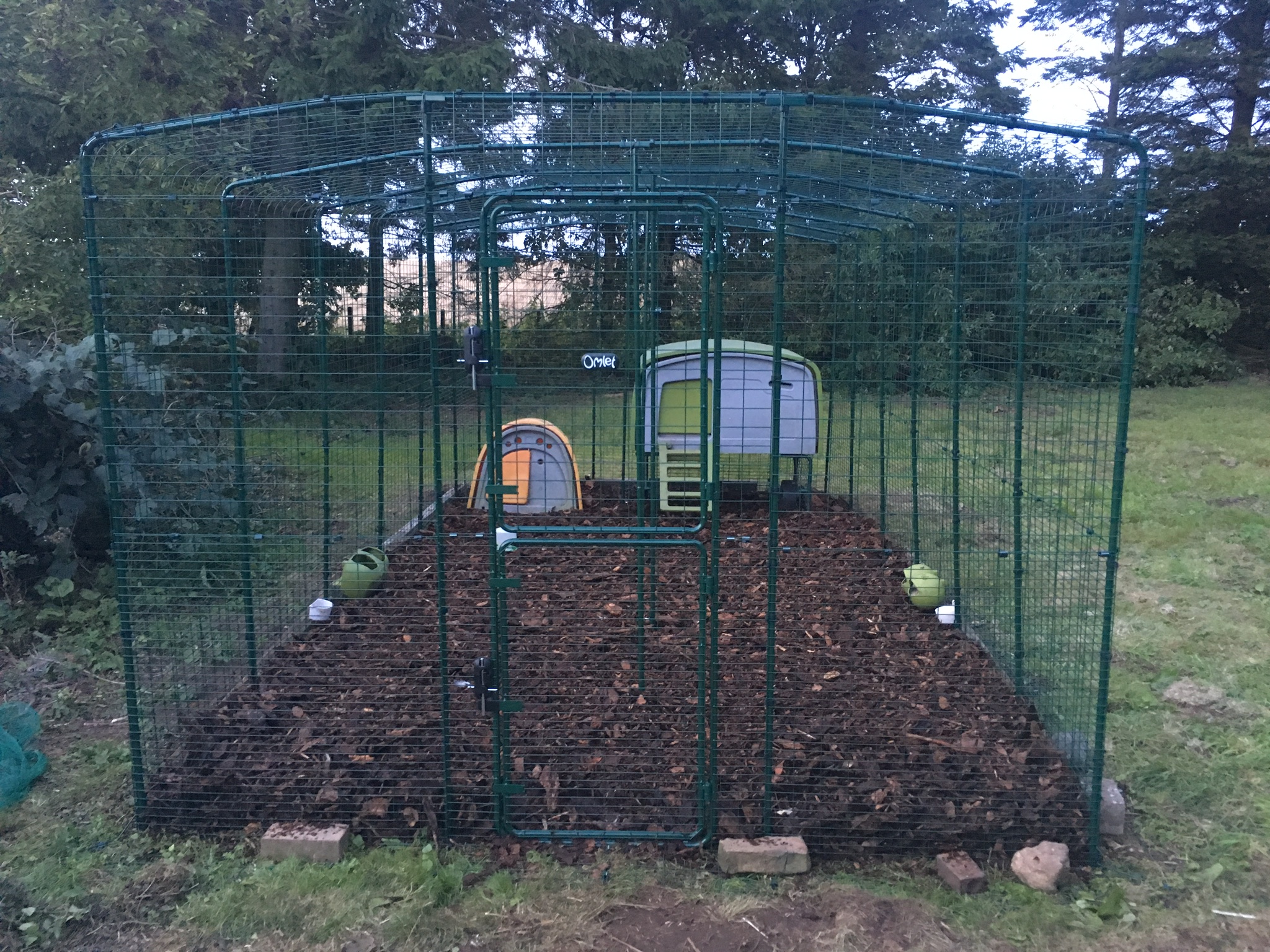 Walk in Chicken Run | Large Outdoor Chicken Enclosure